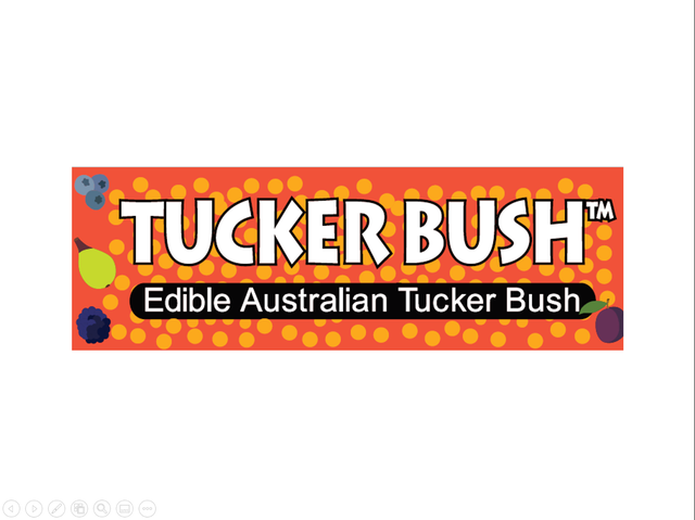 Tucker Bush | Tucker Bush